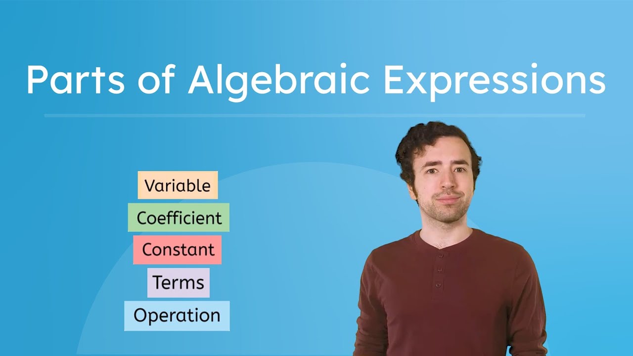 Parts of Algebraic Expressions – Identifying Variables, Terms, and More