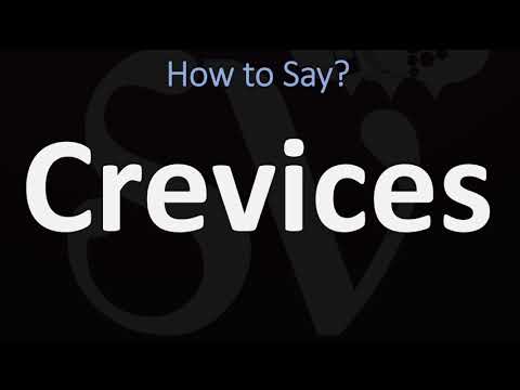 How to Pronounce Crevices? (CORRECTLY)