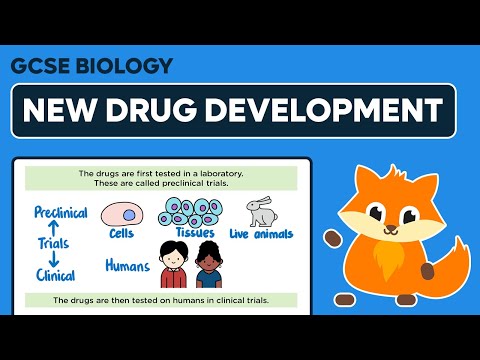 New Drug Development - GCSE Biology