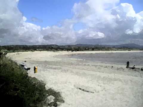 downings beach.wmv