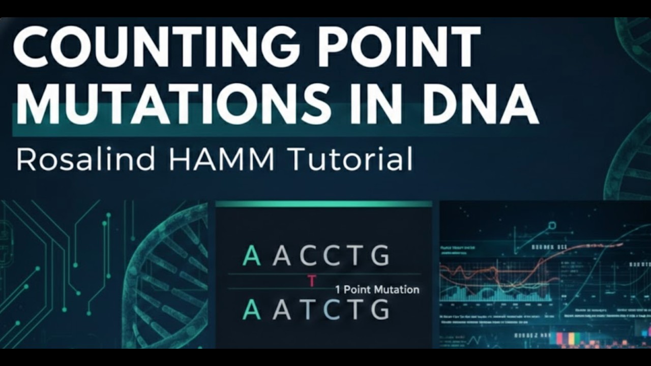Counting Point Mutations in DNA with Python | Rosalind HAMM Tutorial