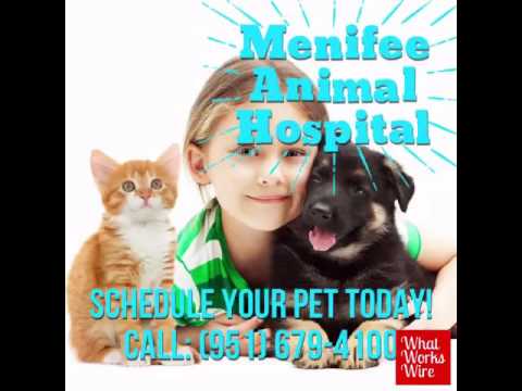 Menifee Animal Hospital - Menifee, CA
