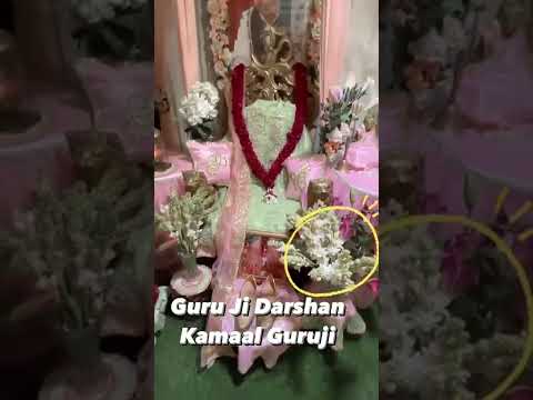 Darshan | jai guruji | #shukrana #guruji #short #shorts #amritvela #satsang #jaiguruji #bademandir