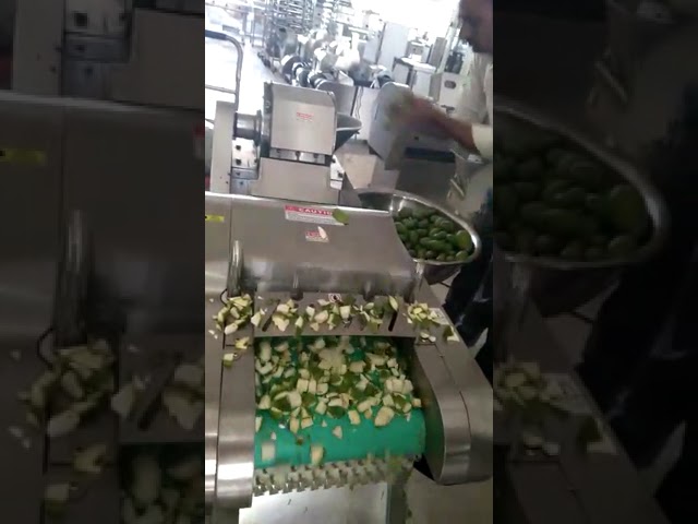 Raw Mango Cutting Machine from Saha