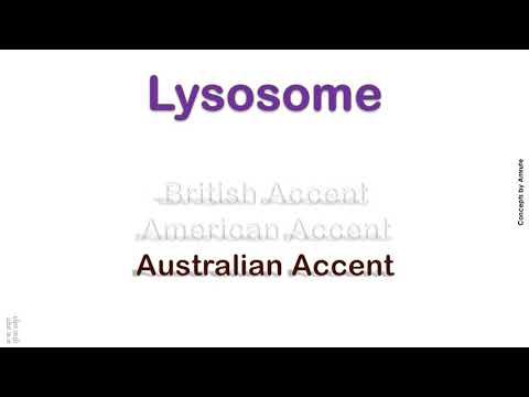 Lysosome How to Pronounce Lysosome in Australian Accent, British Accent, American Accent ?