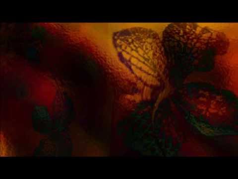 Roselle Nava♥Dahil Mahal Na Mahal Kita(English Translation)