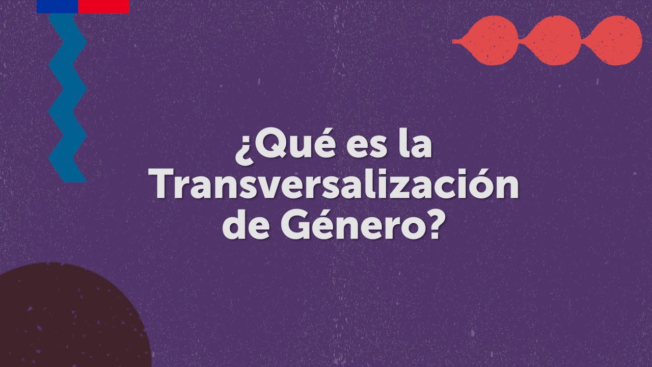 ¿por Qué Es Importante La Transversalización Es General