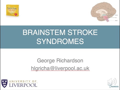 Brainstem Stroke Syndromes