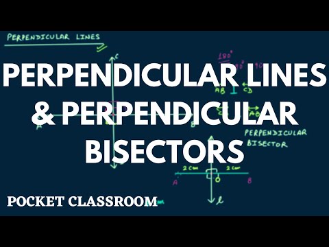 Perpendicular Lines & Perpendicular Bisectors || Geometry || Grade 6