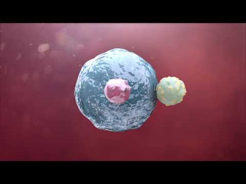 From to the disease to a cure: the story of an outstanding scientific result