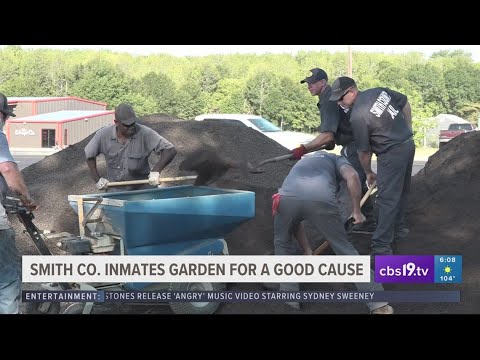 Bond for Tyler, Texas doctor Kenneth Donald Haygood set at $3.5 million ...