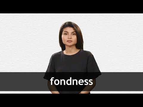 FONDNESS 释义 | 柯林斯英语词典