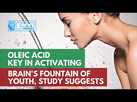 Oleic Acid Key in Activating Brain's Fountain of Youth, Study Suggests