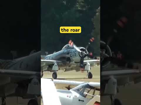 A Douglas Skyraider blasts out of a small airstrip. Wright R3350s. #warbirds #aviation #avgeek