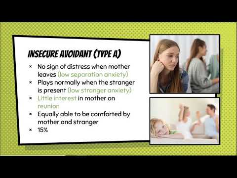 Ainsworth's Strange Situation (ASS) AO1 A LEVEL PSYCHOLOGY