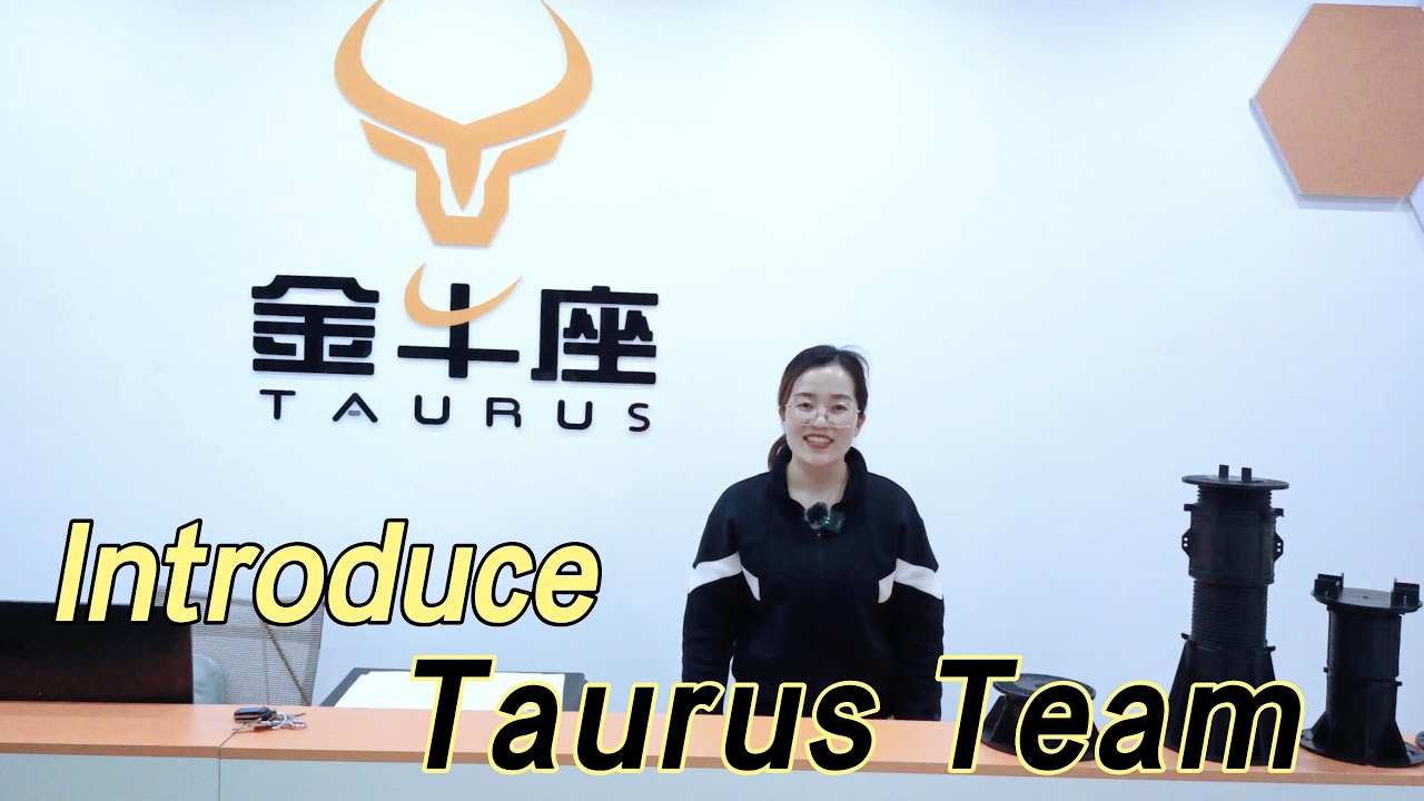 Meet Our Team: Experienced, Stable And Reliable!