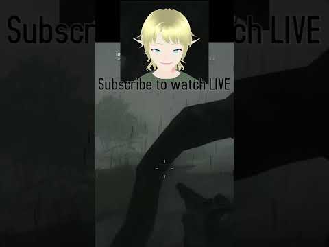 Steam Community :: Video :: A fan recognized me!