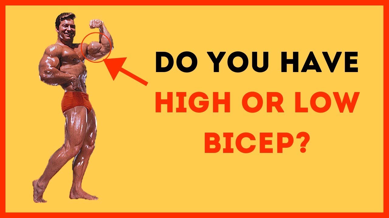 Here's How To Figure Out What Bicep Genetics You Have - Short Or Long Head?