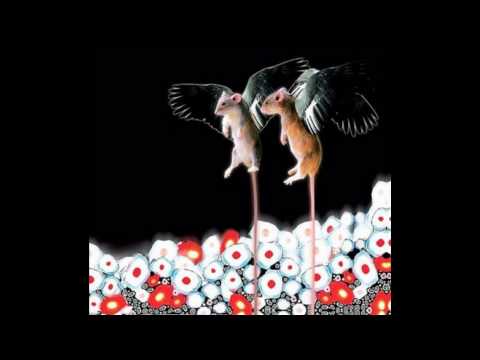 Tricky Woo music, videos, stats, and photos | Last.fm