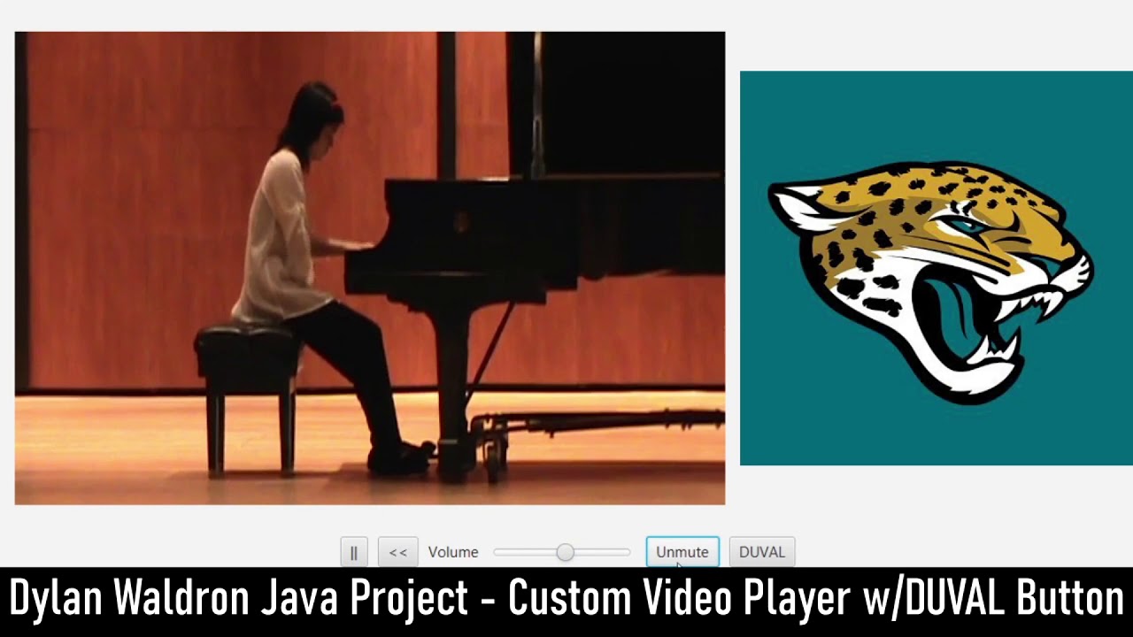 Custom Video Player (Java)