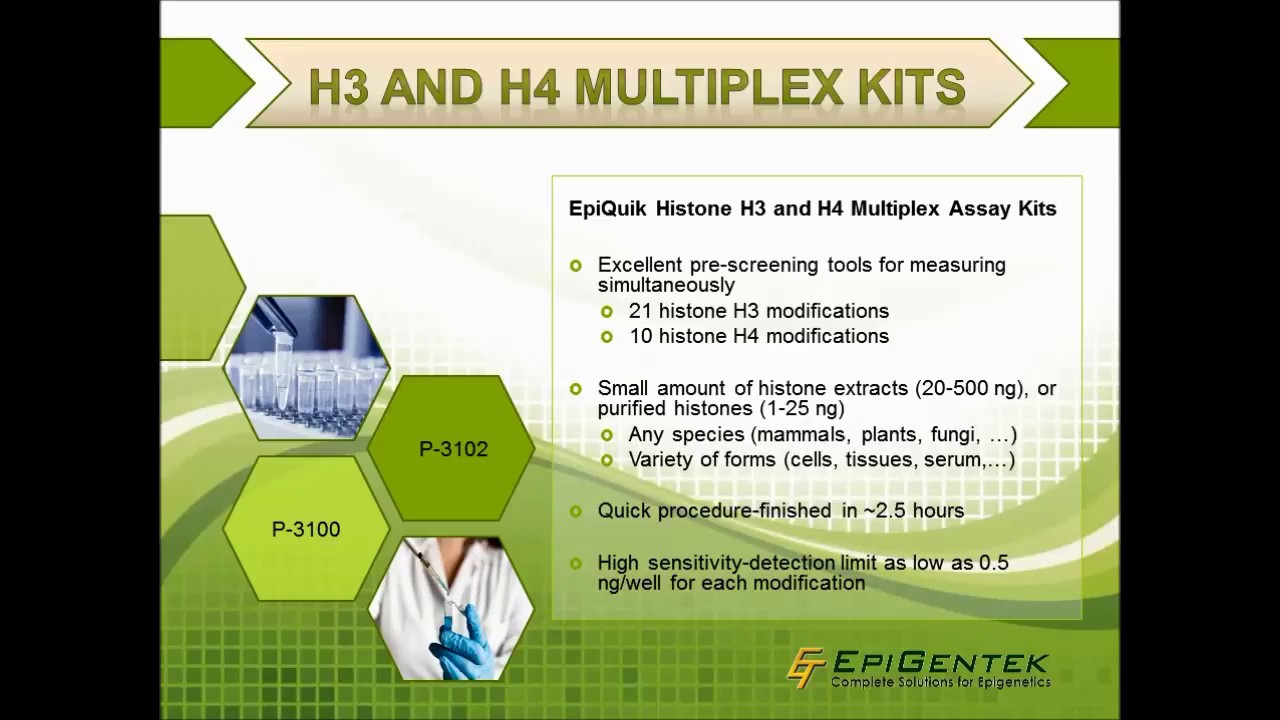 Histone Modification Mini Webinar