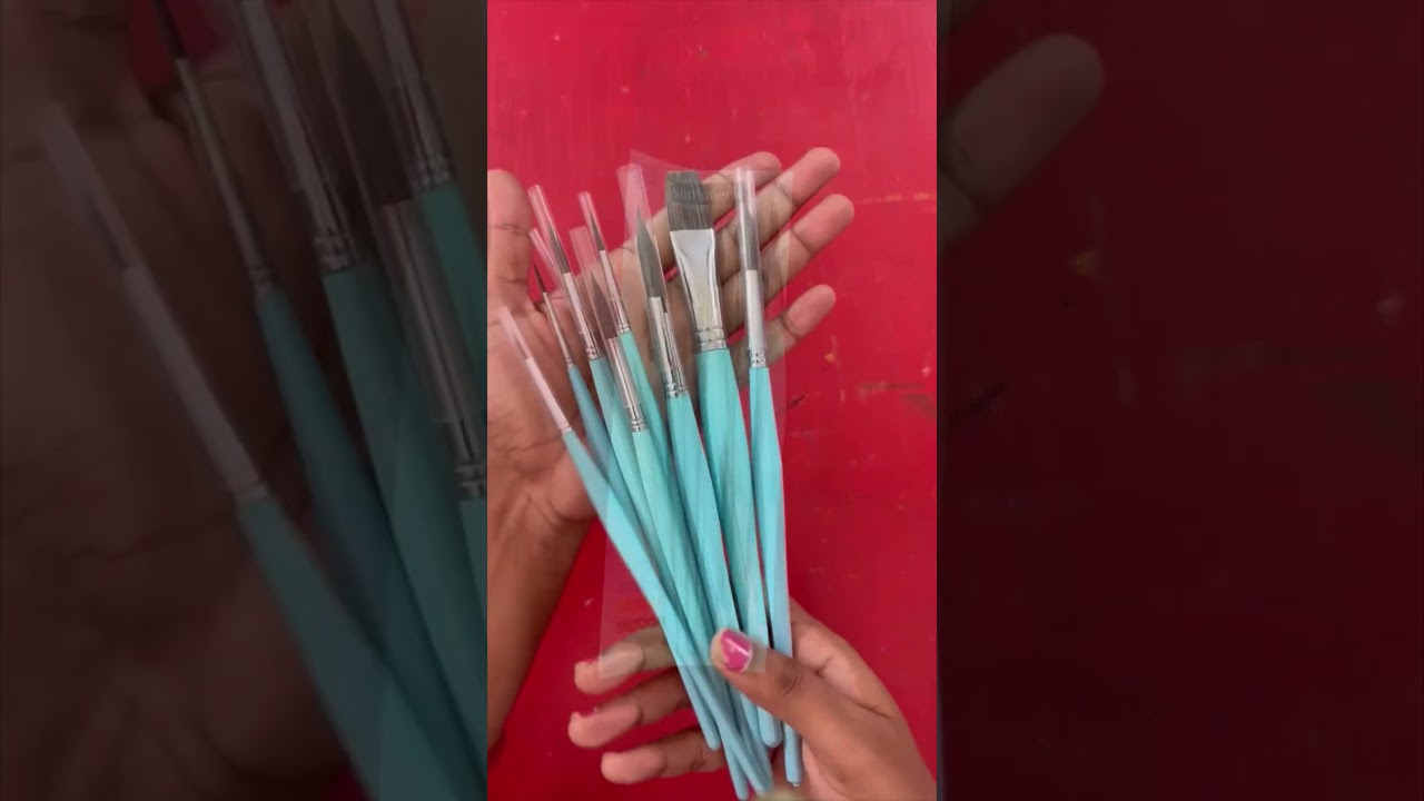 Rs 600 Unboxing video of my new Watercolor brush set from stationerie shop #watercolor #art #shorts