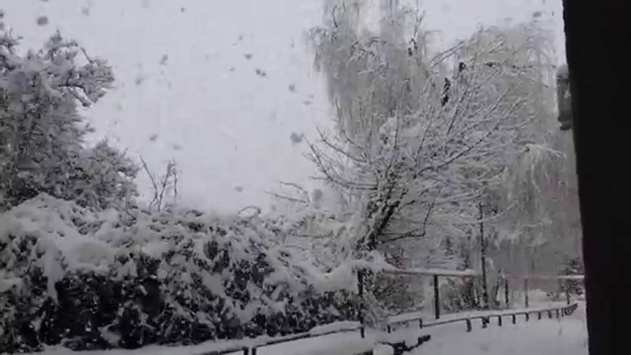 Beautiful snowing - large snowflakes