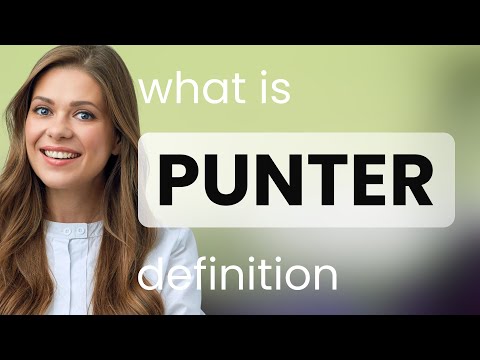 Punter • PUNTER definition