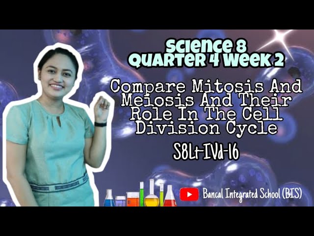 Understanding Mitosis and Meiosis: Key Processes in Cell Division ...