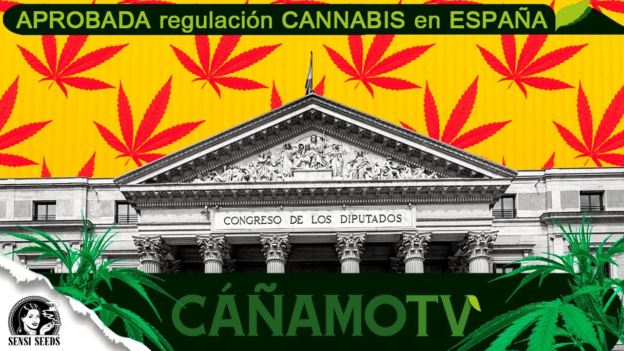 APROBADA la REGULACIÓN para el CANNABIS MEDICINAL en ESPAÑA