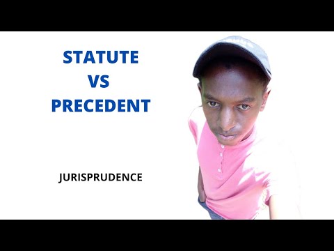 WHAT IS THE DIFFERENCE BETWEEN PRECEDENT AND STATUTE LAW ? - IN LESS THAN 2 MINUTES