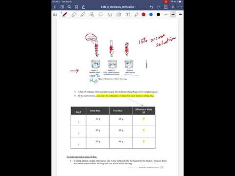 109 Lab: Osmosis & Diffusion