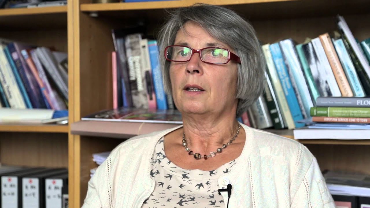 Environment Processes & Change -  Earth Systems & Environmental Sciences