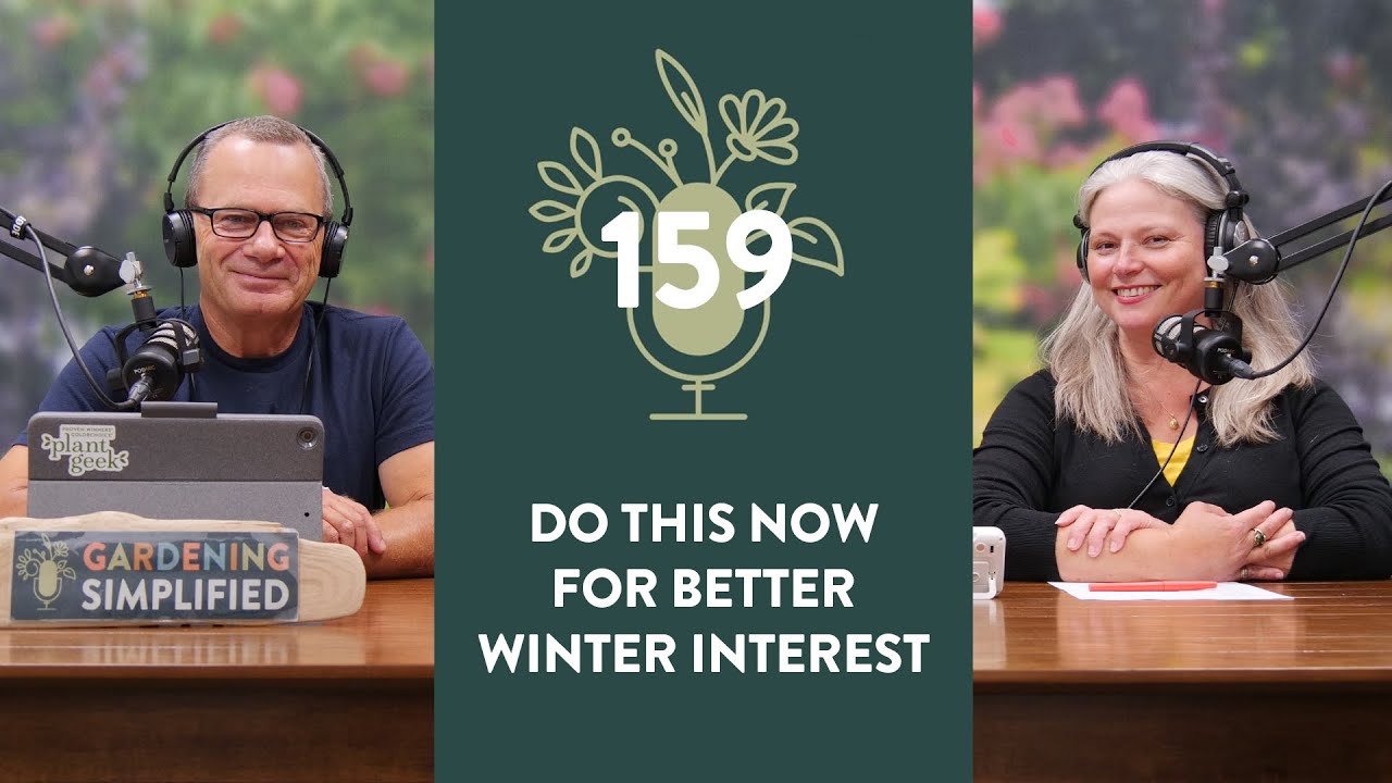What to Plant Now to Enhance Your Winter Garden | 159