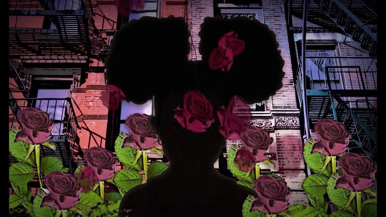 Multimedia Project Showcase