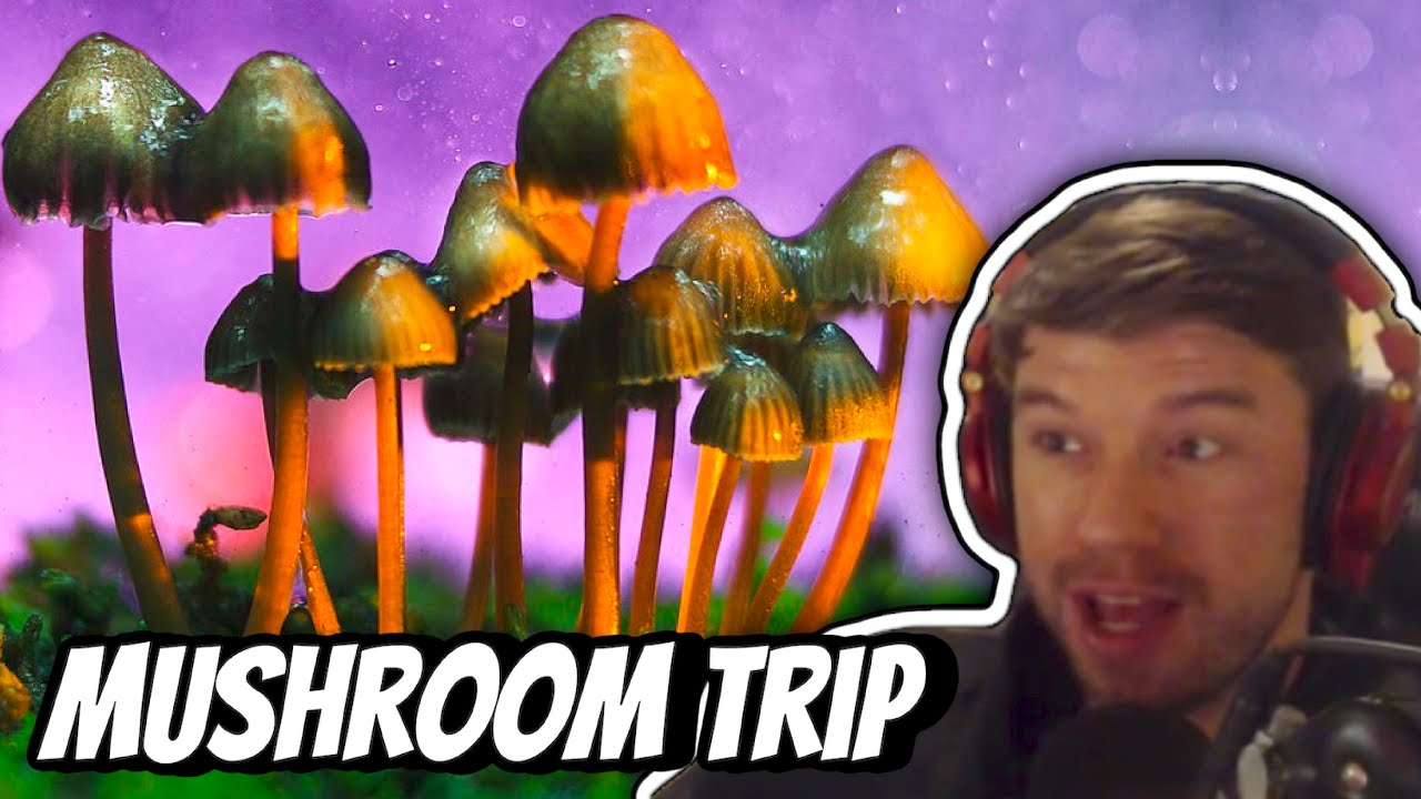 The First Time Kyle Tried Mushrooms | PKA