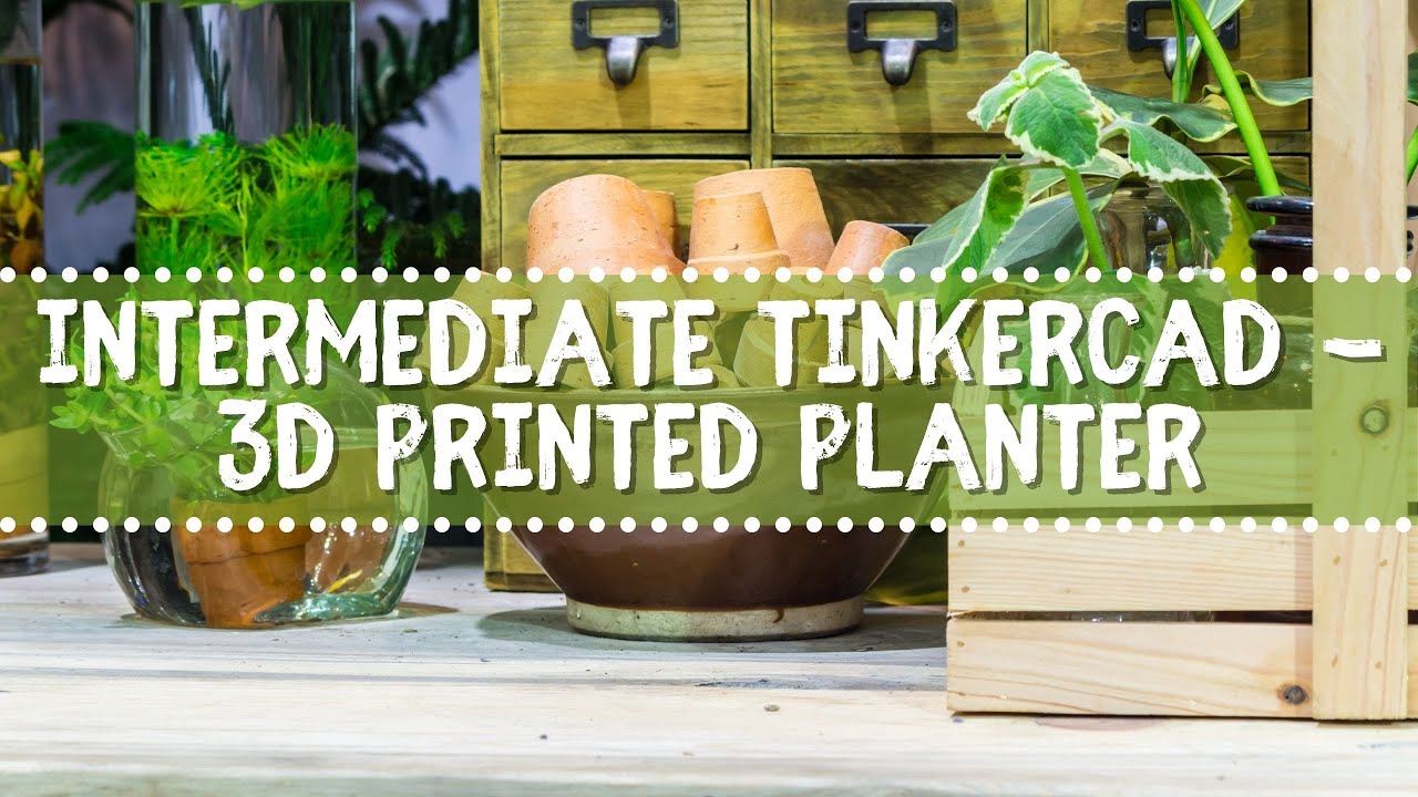 Intermediate Tinkercad-3D Printed Planter