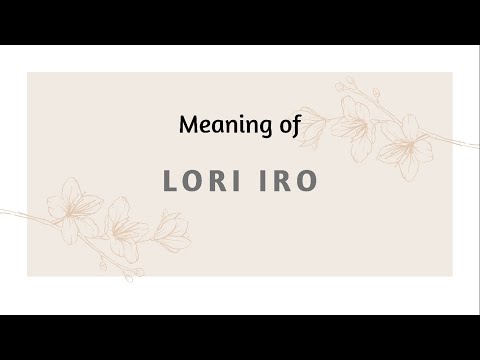 MEANING OF LORI IRO || African Slang