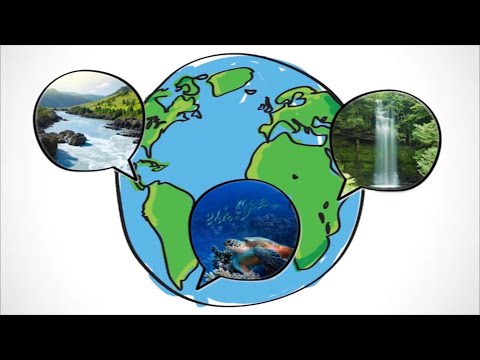 WonderGrove Kids | Water Conservation: Why We Need to Drink Water