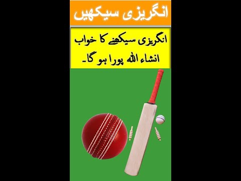cricket match vocabulary in english and urdu | Cricket Match Vocabulary | shorts