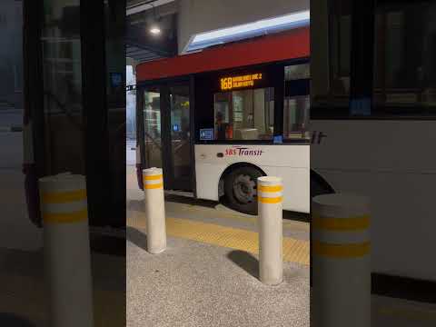 [Rare Cameo] SBS Transit Bus 168 Scania K230UB Euro V
