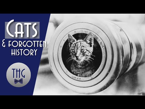 Caturday felids: History and housecats; cats scatter before an ...
