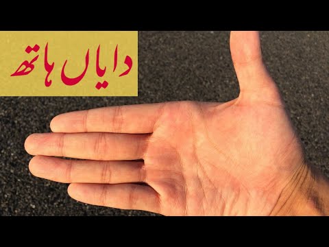 Left Hand| Left Handed People| Dayan Hath| |Islamic Stories Urdu/Hindi| Zayni TV