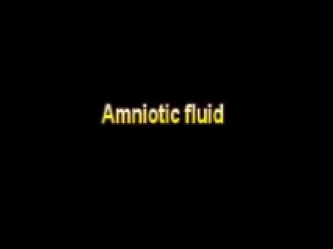 What Is The Definition Of Amniotic fluid Medical Dictionary Free Online