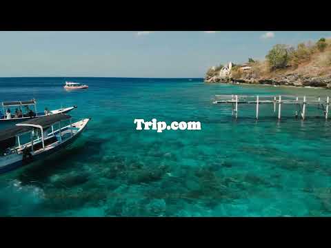 The Journey from Denpasar Bali Airport to Kuta Beach: Tips and Insights