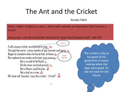 Summary: The Ant and the Cricket Video Lecture - English Class 8