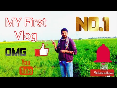 My first Vlog meaning in Hindi