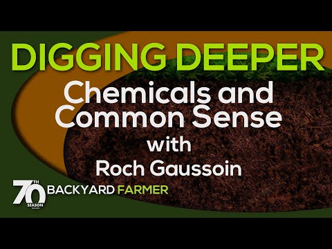 Digging Deeper: Chemicals and Common Sense