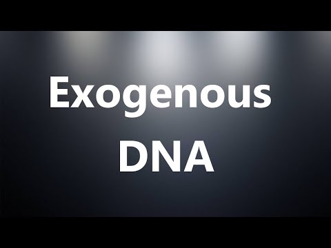 Exogenous DNA - Medical Meaning and Pronunciation
