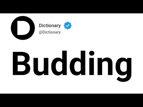 Budding Meaning In English